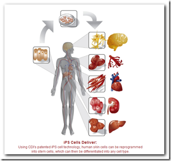 Heartbeat of a new industry – Stem Cell Storage Banks - Medical Quack